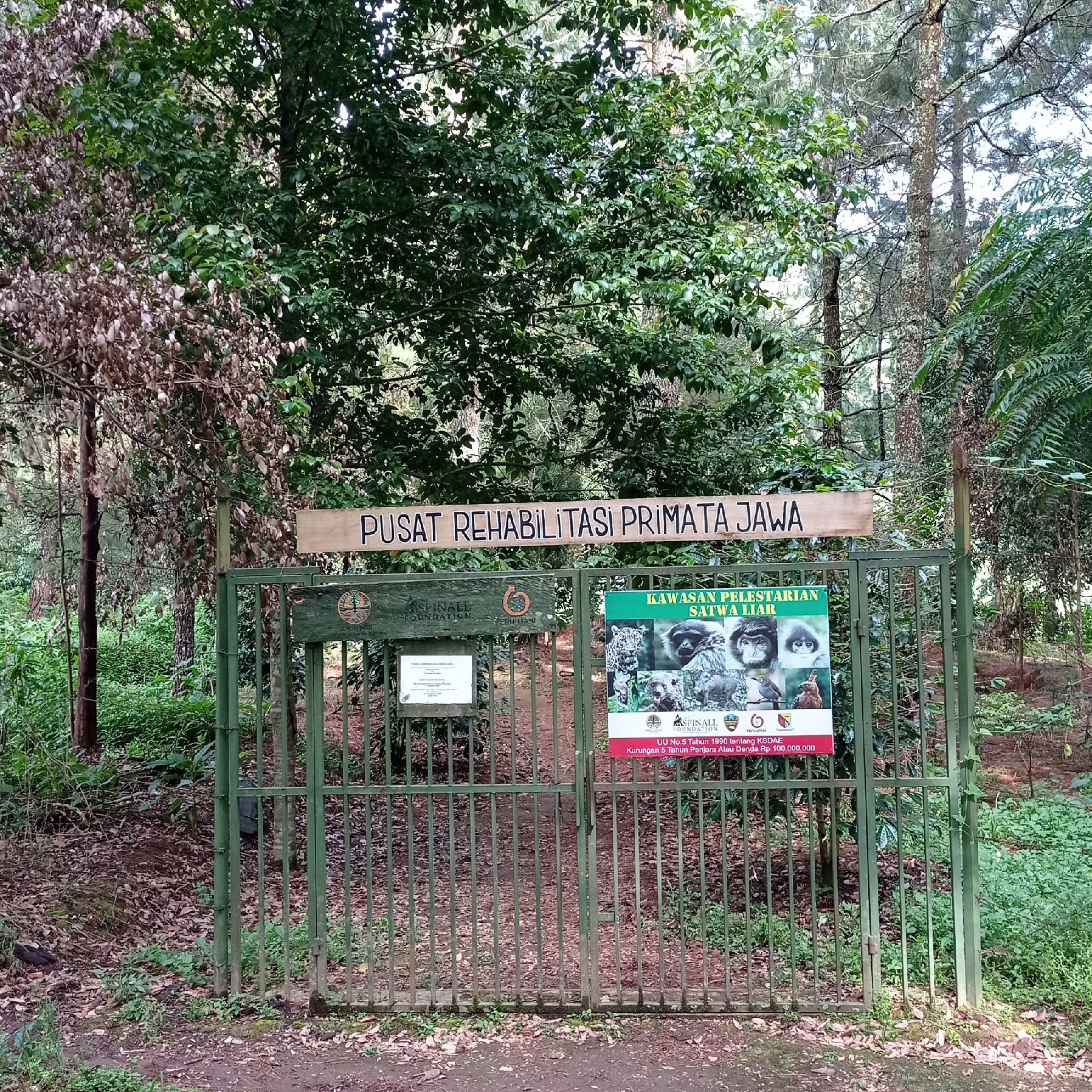 Aspinall Foundation Indonesia - Piffle.me